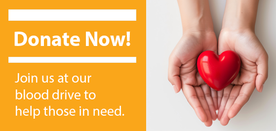 Scient Federal Credit Union | Connecticut Bank Accounts & Loans